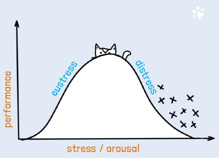 Eustress and Distress | The Difference | Blooming Minds